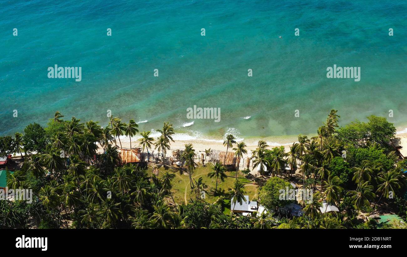 Beautiful tropical beach with white sand, palm trees, turquoise ocean ...