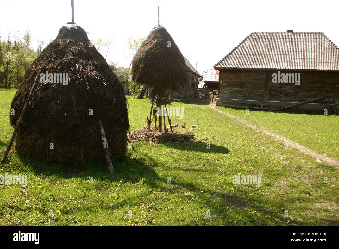 Haystack haystacks romania romanian hi-res stock photography and images ...