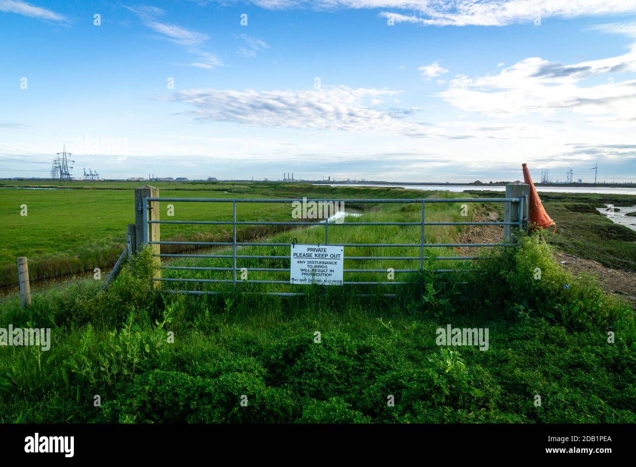 Swale estuary birds hi-res stock photography and images - Alamy