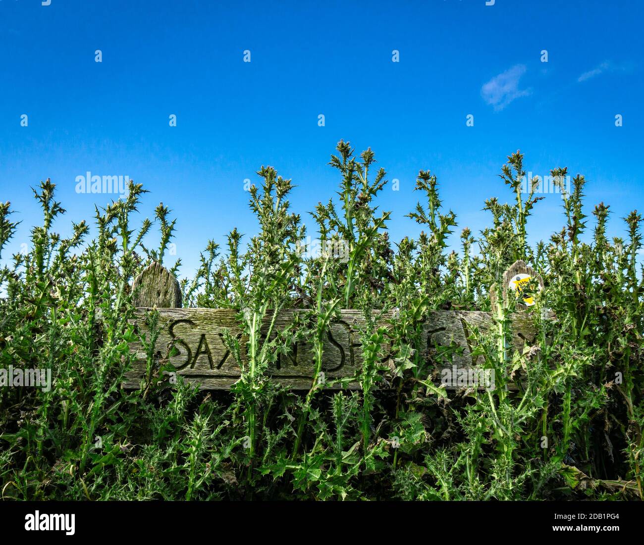 Bridge River Swale High Resolution Stock Photography and Images - Alamy