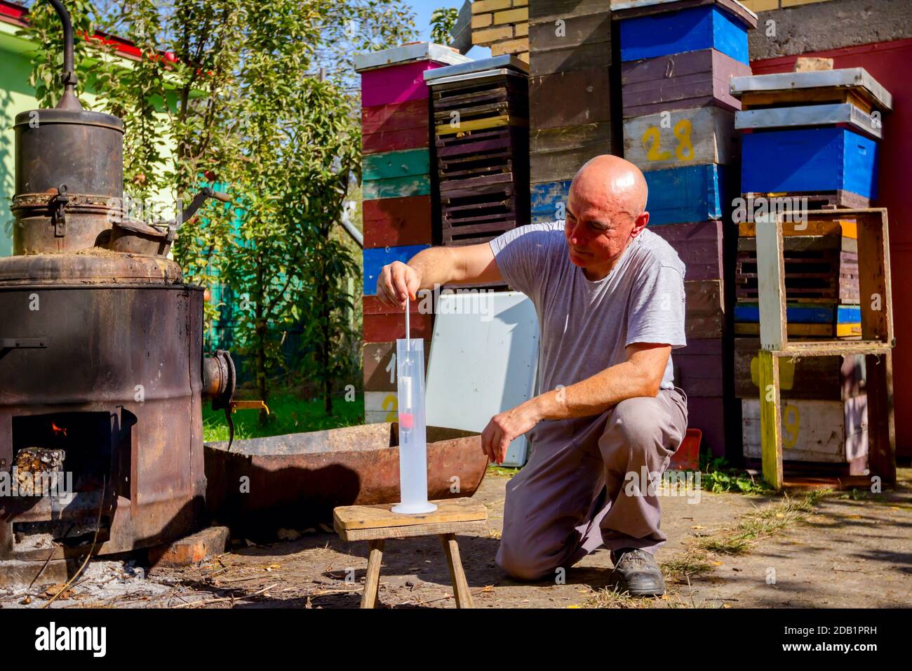 Man is using glass alcoholmeter for determining the amount ...