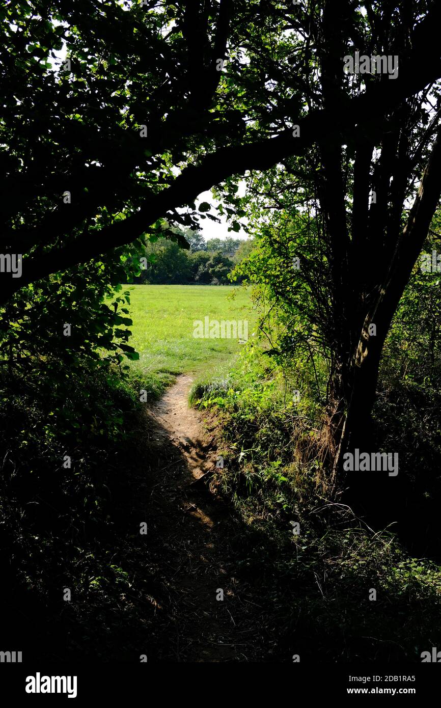 Narrow winding pathway hi-res stock photography and images - Alamy