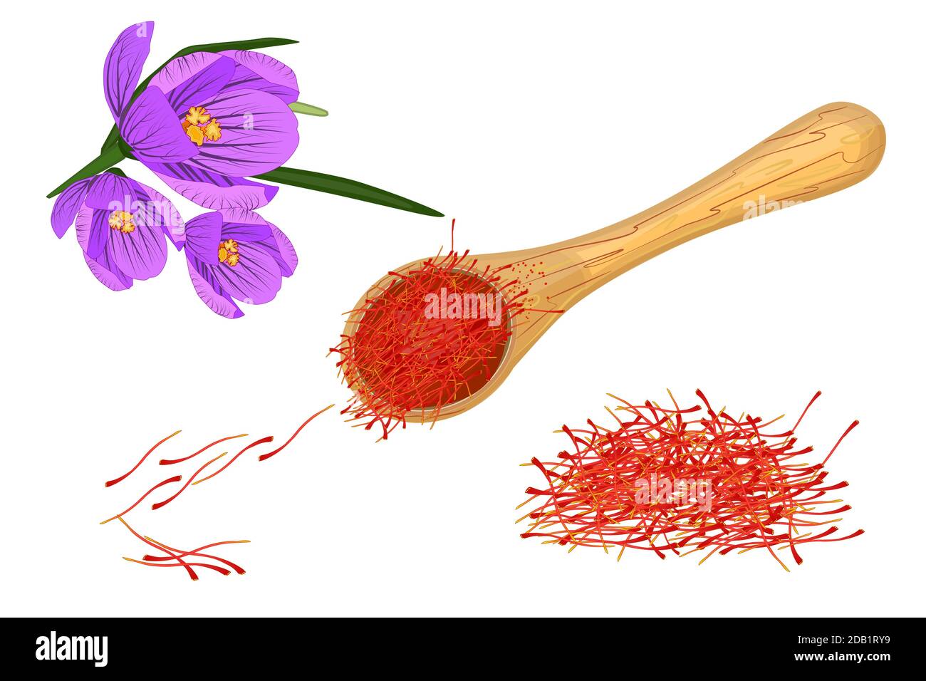 Saffron set isolated on white background.Dried spice saffron threads in ...