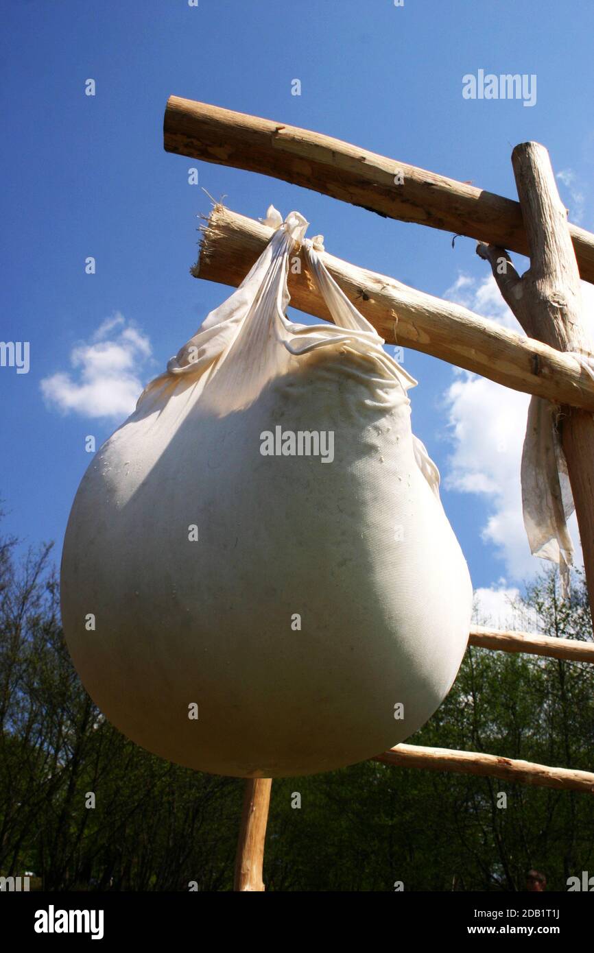 Cheese making in Maramures, Romania. Cheese curds draining in a hanging ...