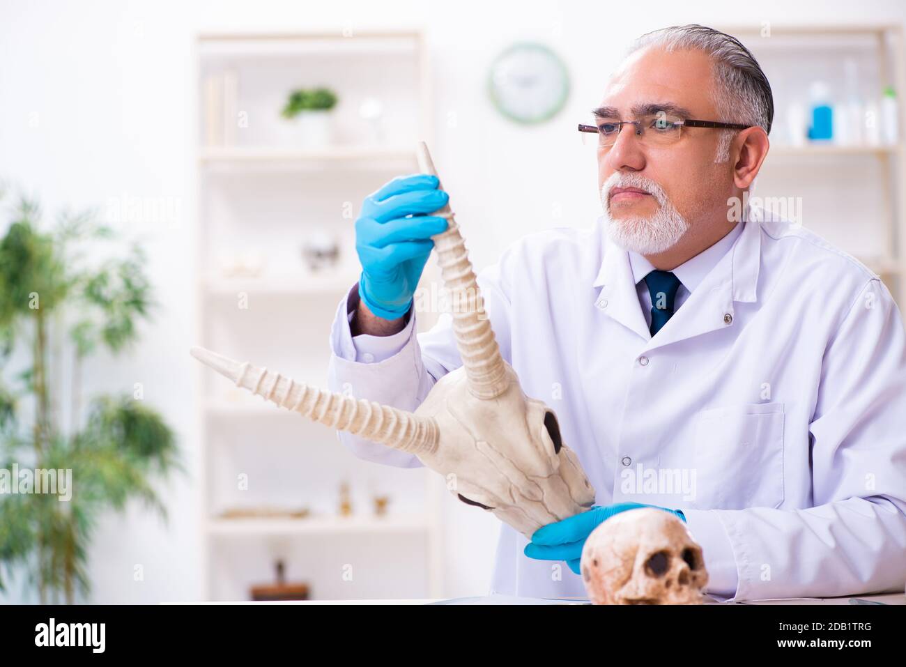 Male archaeologist bone hi-res stock photography and images - Alamy
