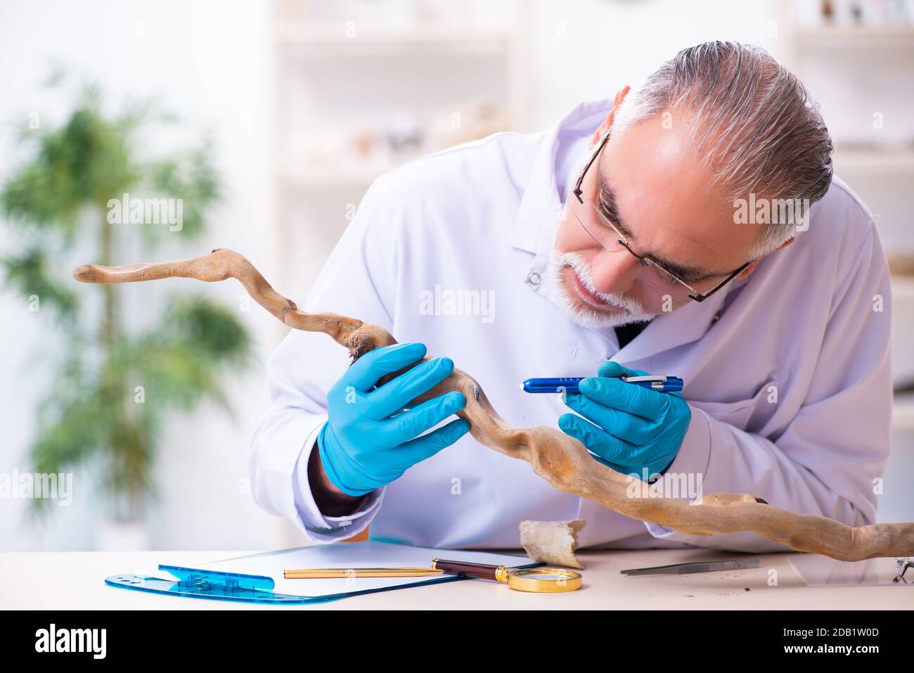 Male archaeologist bone hi-res stock photography and images - Alamy