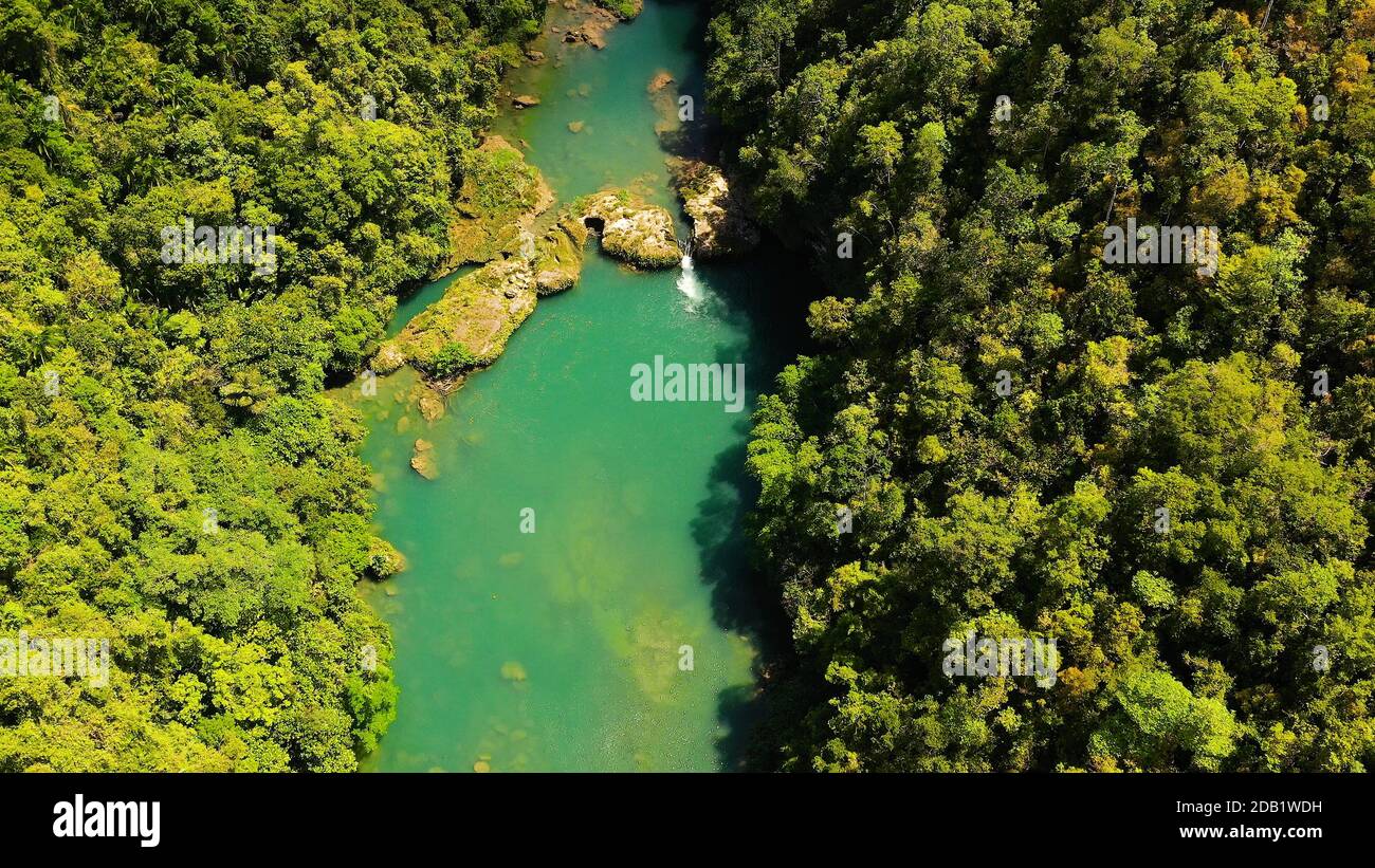 River in the rainforest in a mountain canyon. Loboc River in the green ...