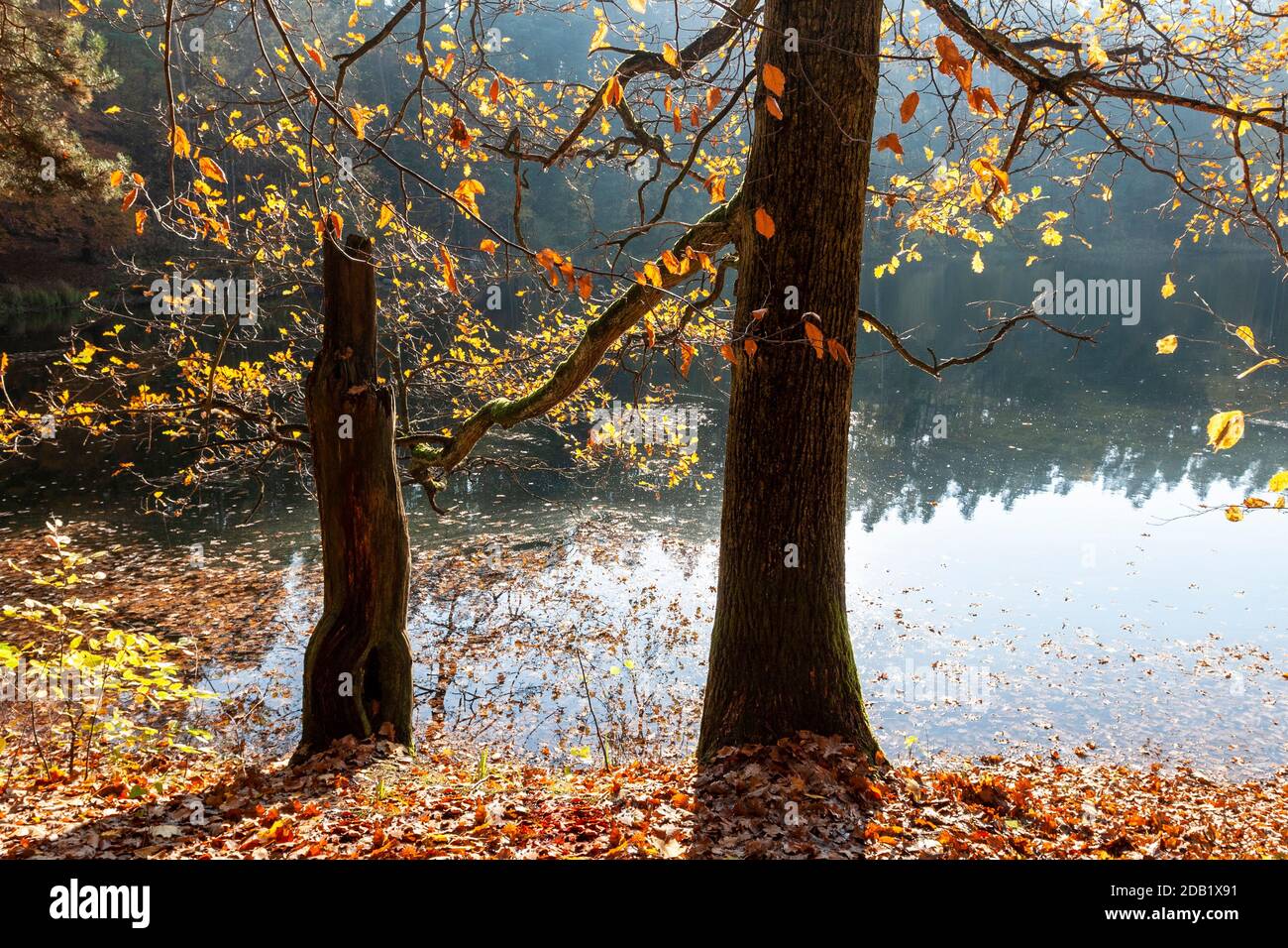 Warmia and Masuria, Poland, Europe Stock Photo - Alamy