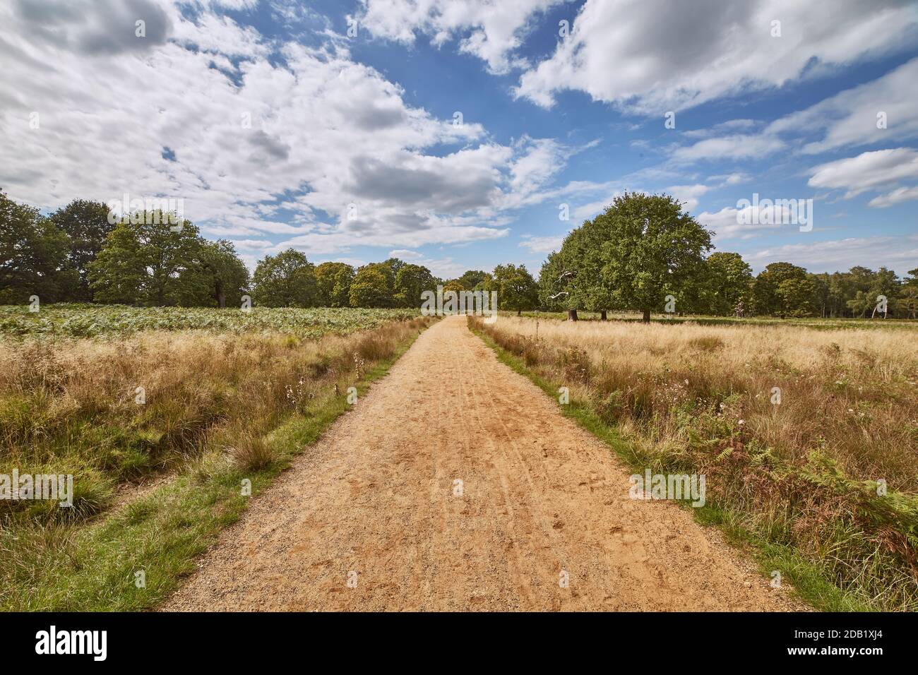 Field photography hi-res stock photography and images - Alamy