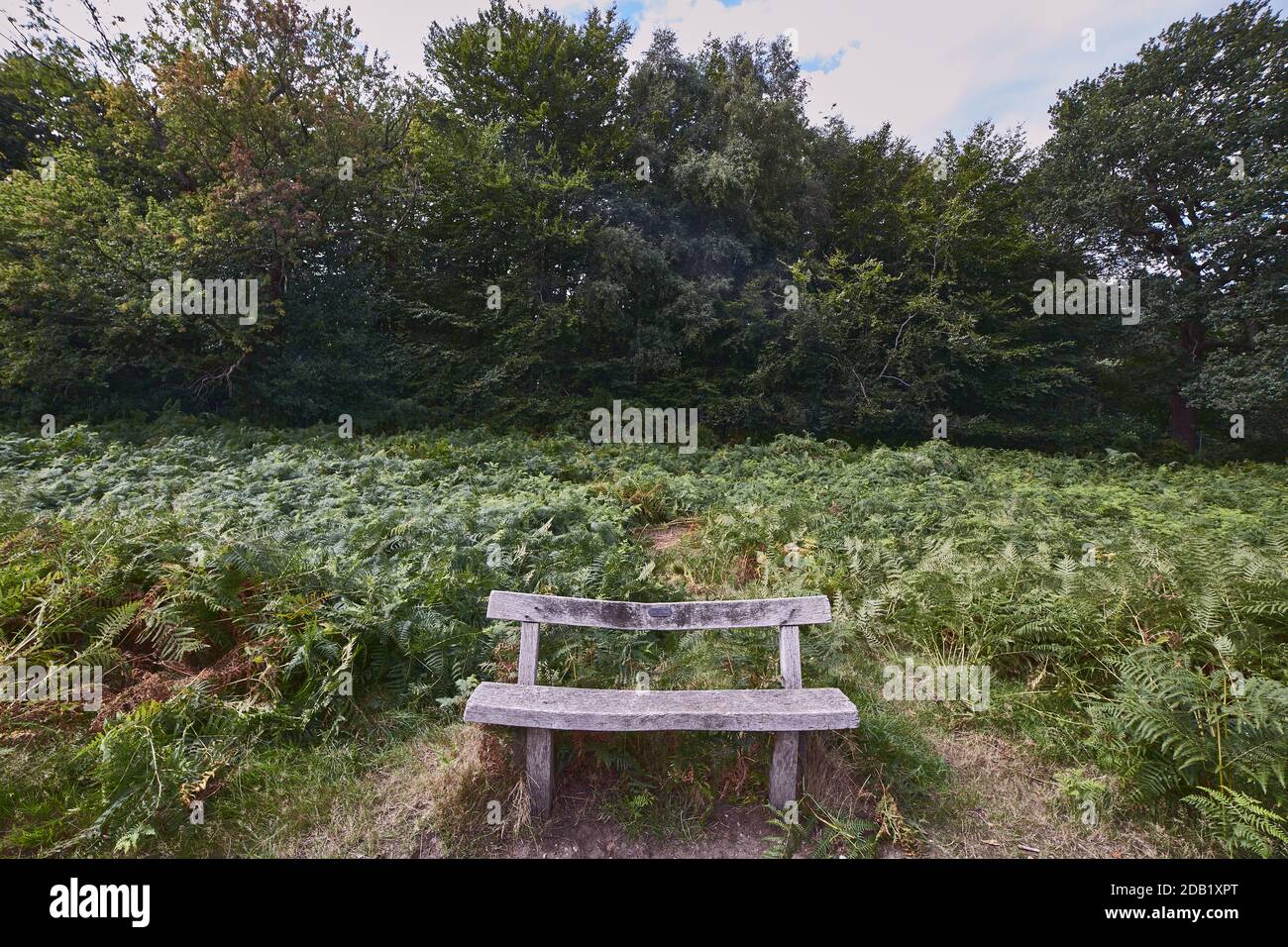 Field photography hi-res stock photography and images - Alamy
