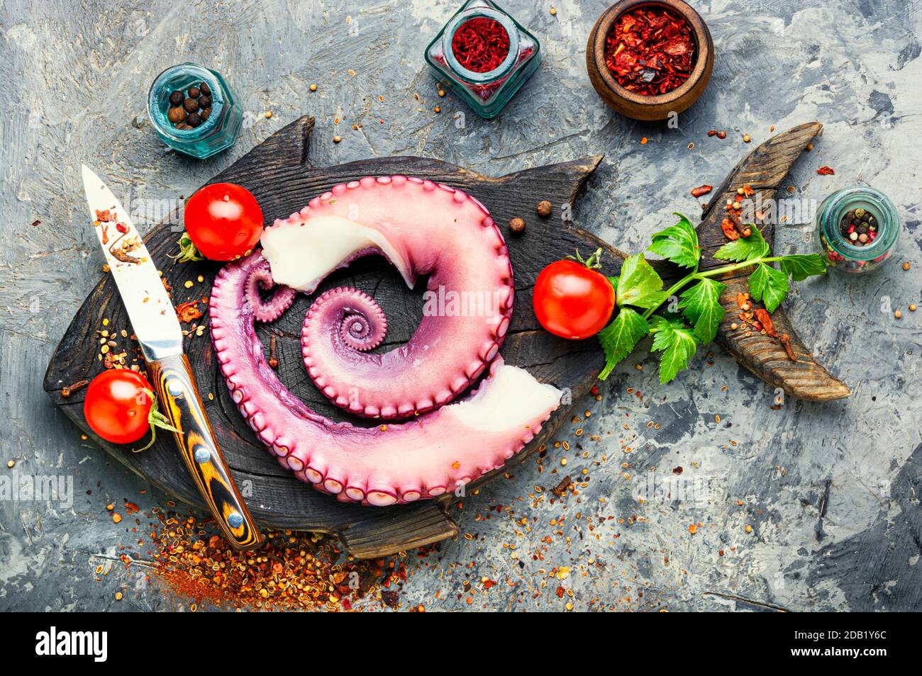 Curled tentacles hi-res stock photography and images - Alamy