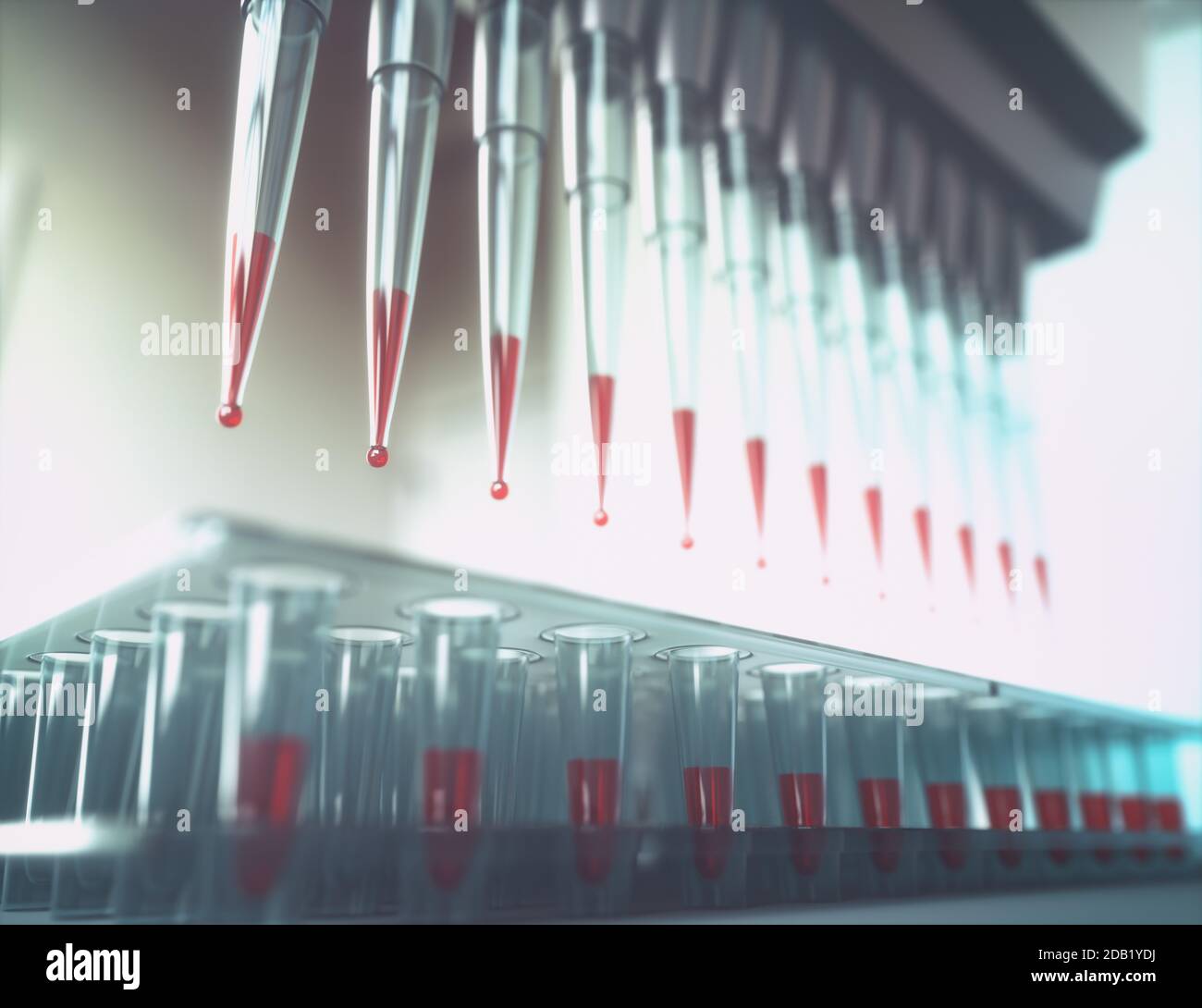 Multichannel pipette and multi well plates used in microbiology lab. 3D ...