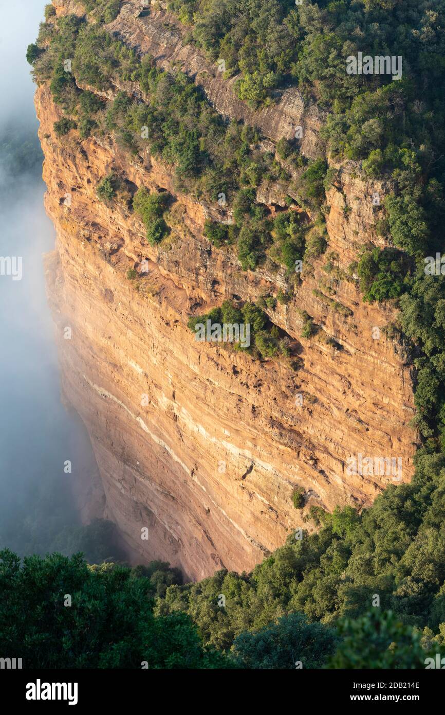 Misty sunrise on Tavertet Cliffs (Cingles de Tavertet). Tavertet ...