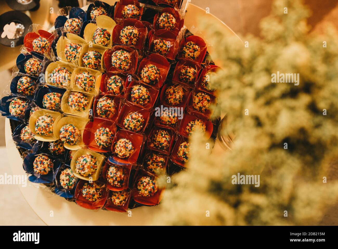 Munchkins hi-res stock photography and images - Alamy