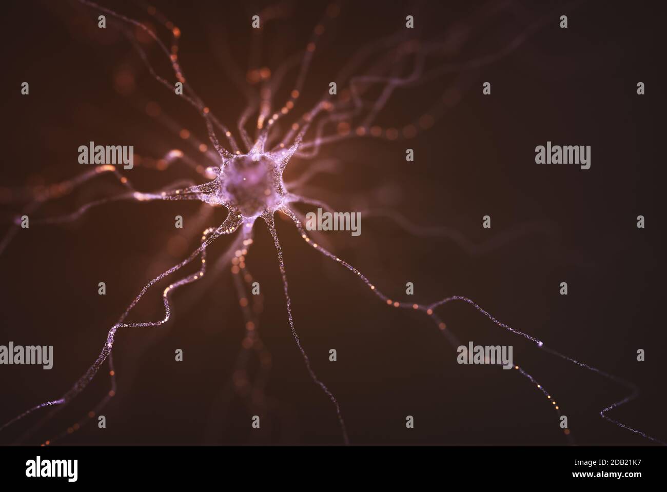 Motor neuron cell hi-res stock photography and images - Alamy