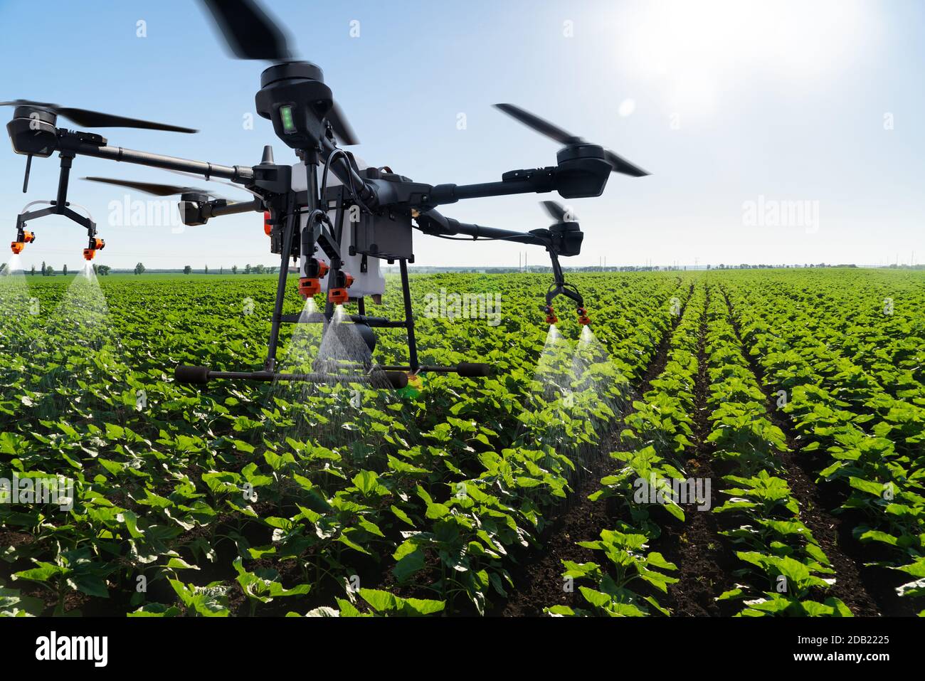 Drone sprayer flies over the agricultural field. Smart farming and ...