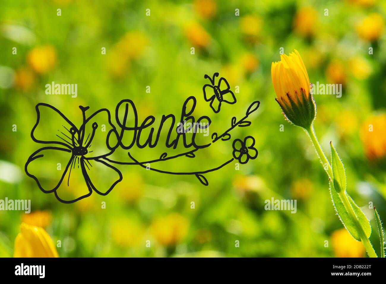 German Calligraphy Danke Means Thank You. Beautiful Scene Of Yellow ...