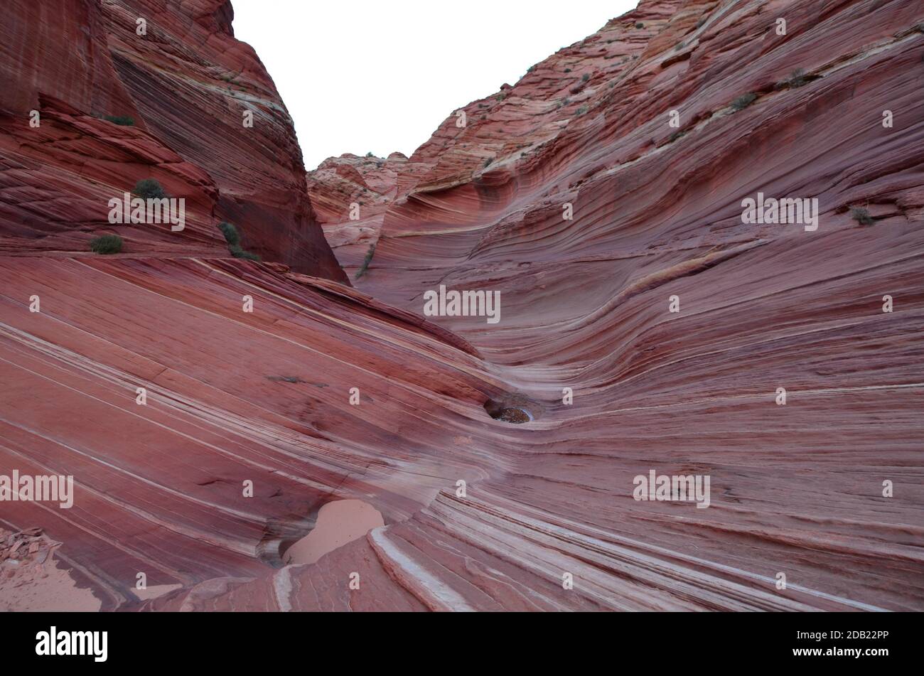 The Wave sandstone rock formation located in Arizona, United States ...