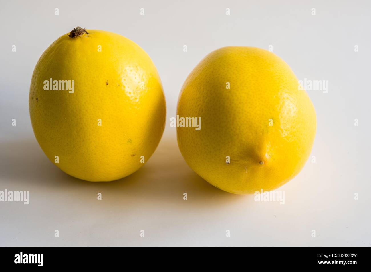 Still life with two yellow lemons on white background Stock Photo - Alamy