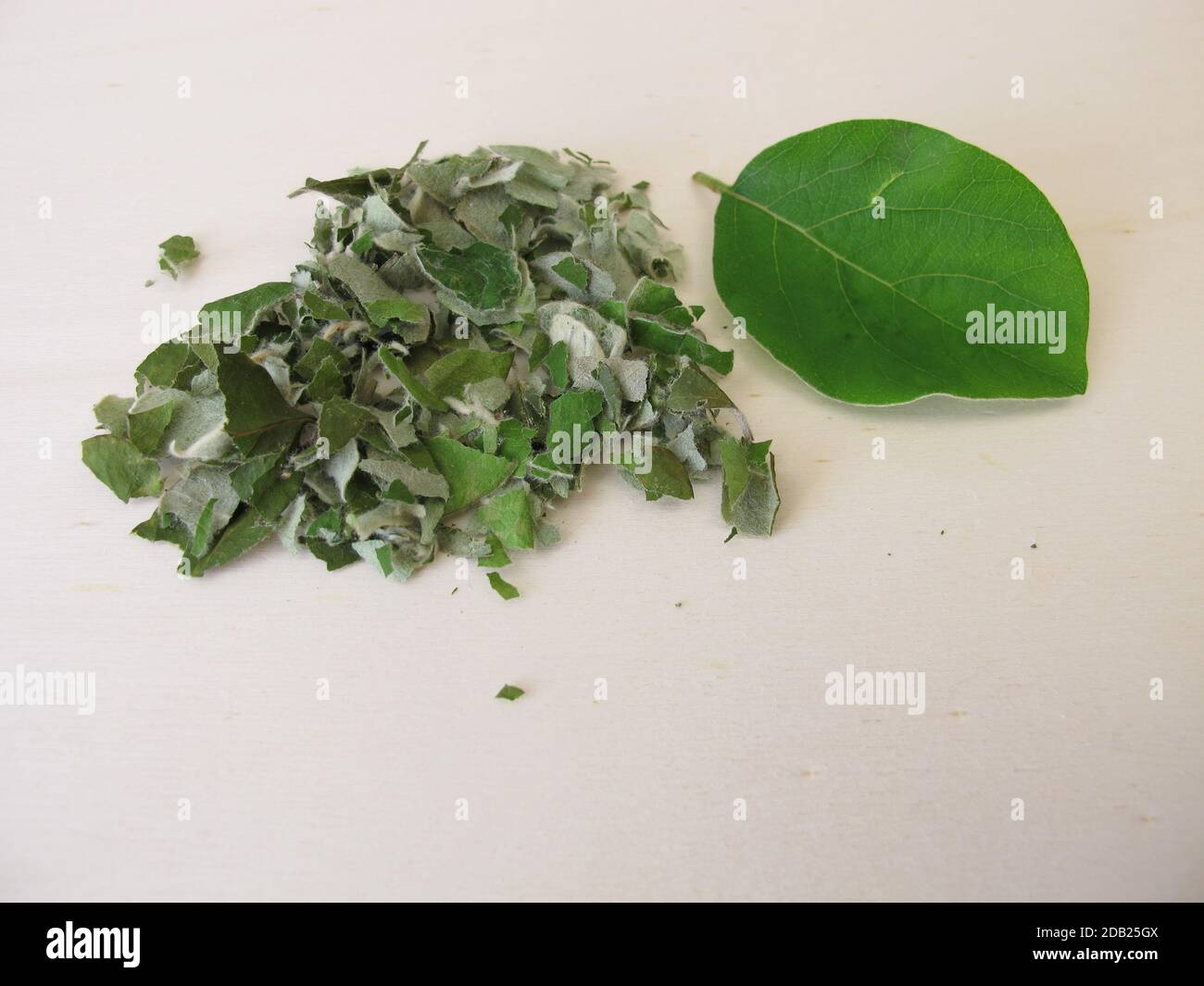 Dried quince leaves for quince leaf tea on a wooden board Stock Photo ...