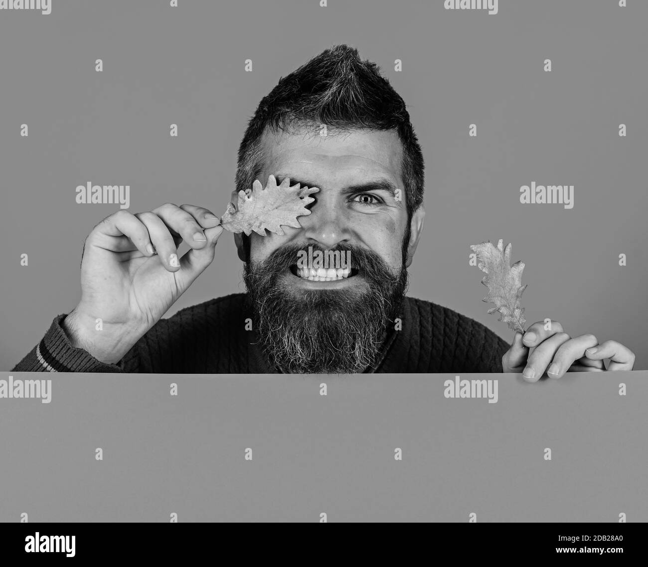 Man with beard holds dry oak tree leaves. Guy with smiling face on ...