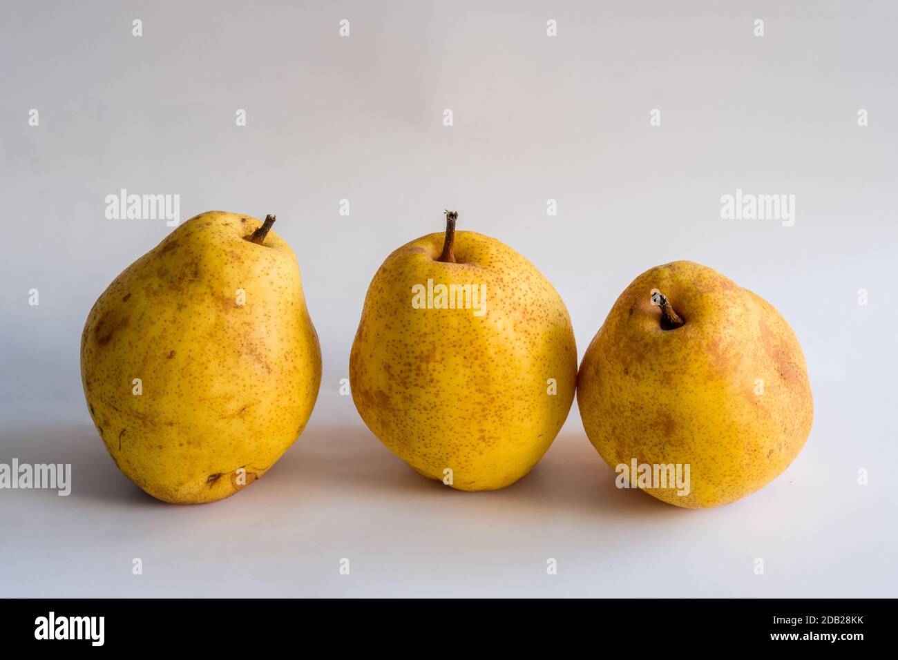 Still life with three yellow pears on white background Stock Photo - Alamy