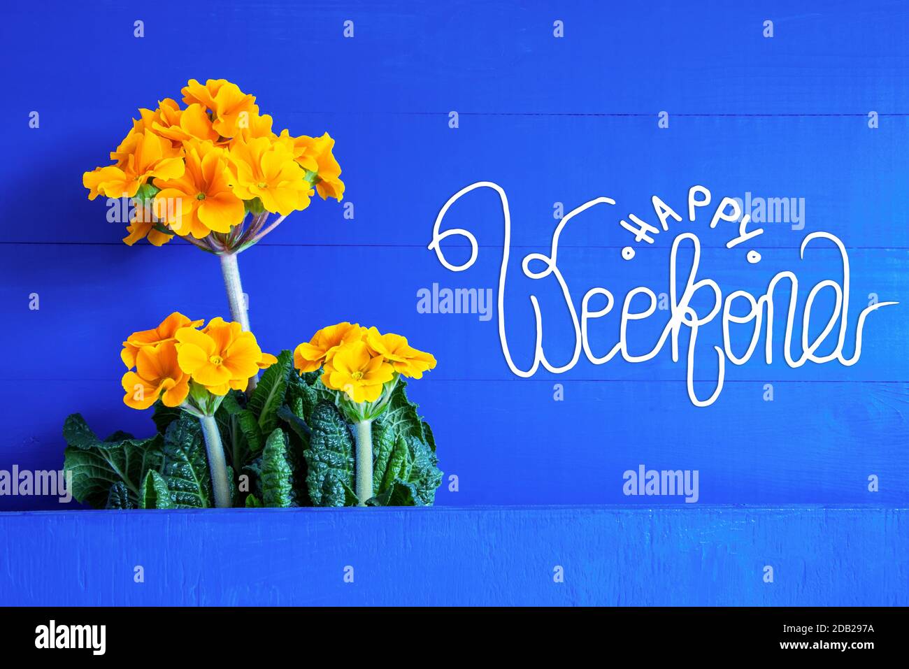 English Text Happy Weekend. Yellow Beautiful Spring Flowers. Blue ...