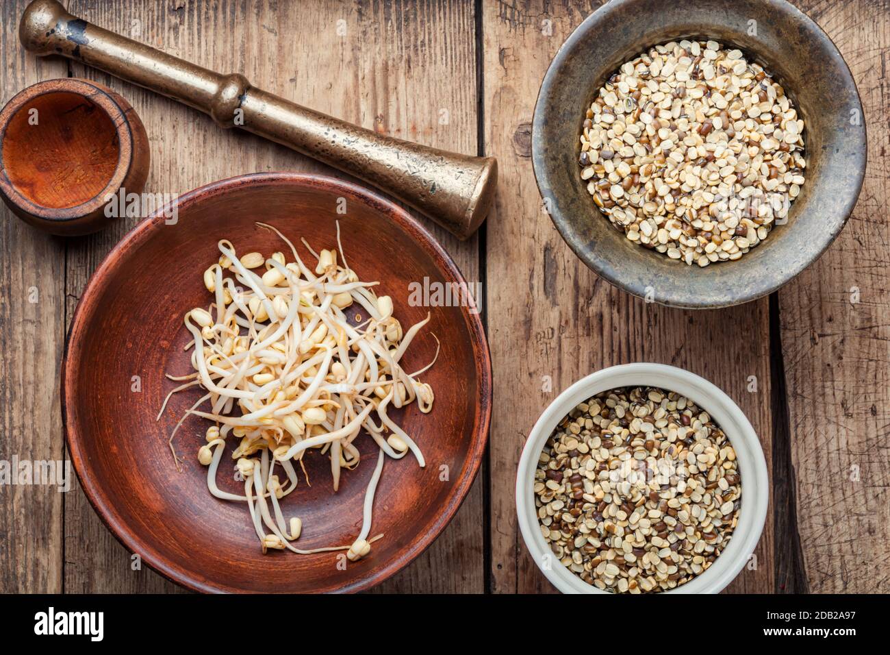 Dry moong dal usal and sprouted green gram spicy usal.Sprouted moong ...