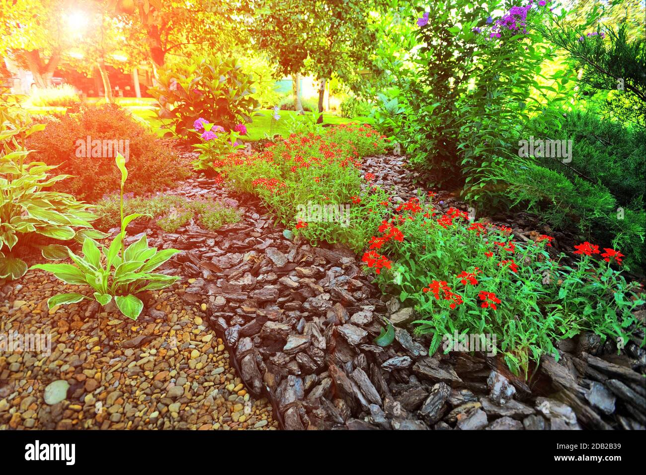 beautiful landscaping with beautiful plants Stock Photo - Alamy