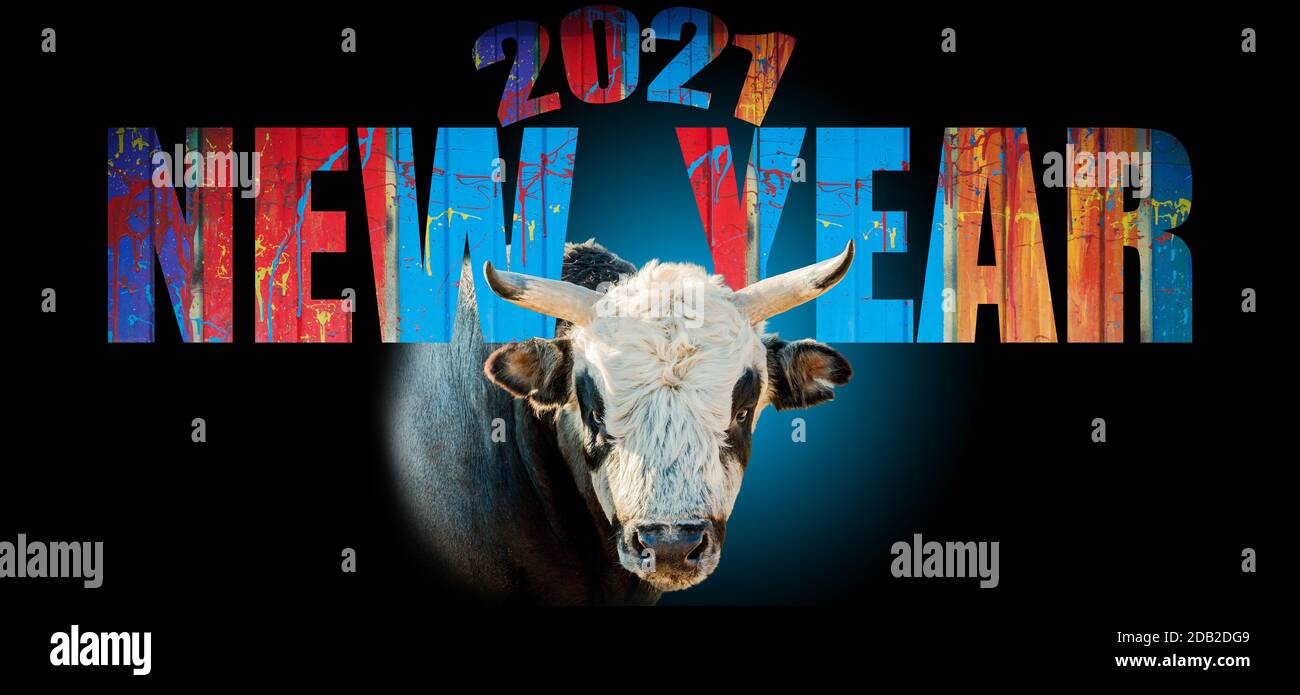 Bull banner hi-res stock photography and images - Alamy