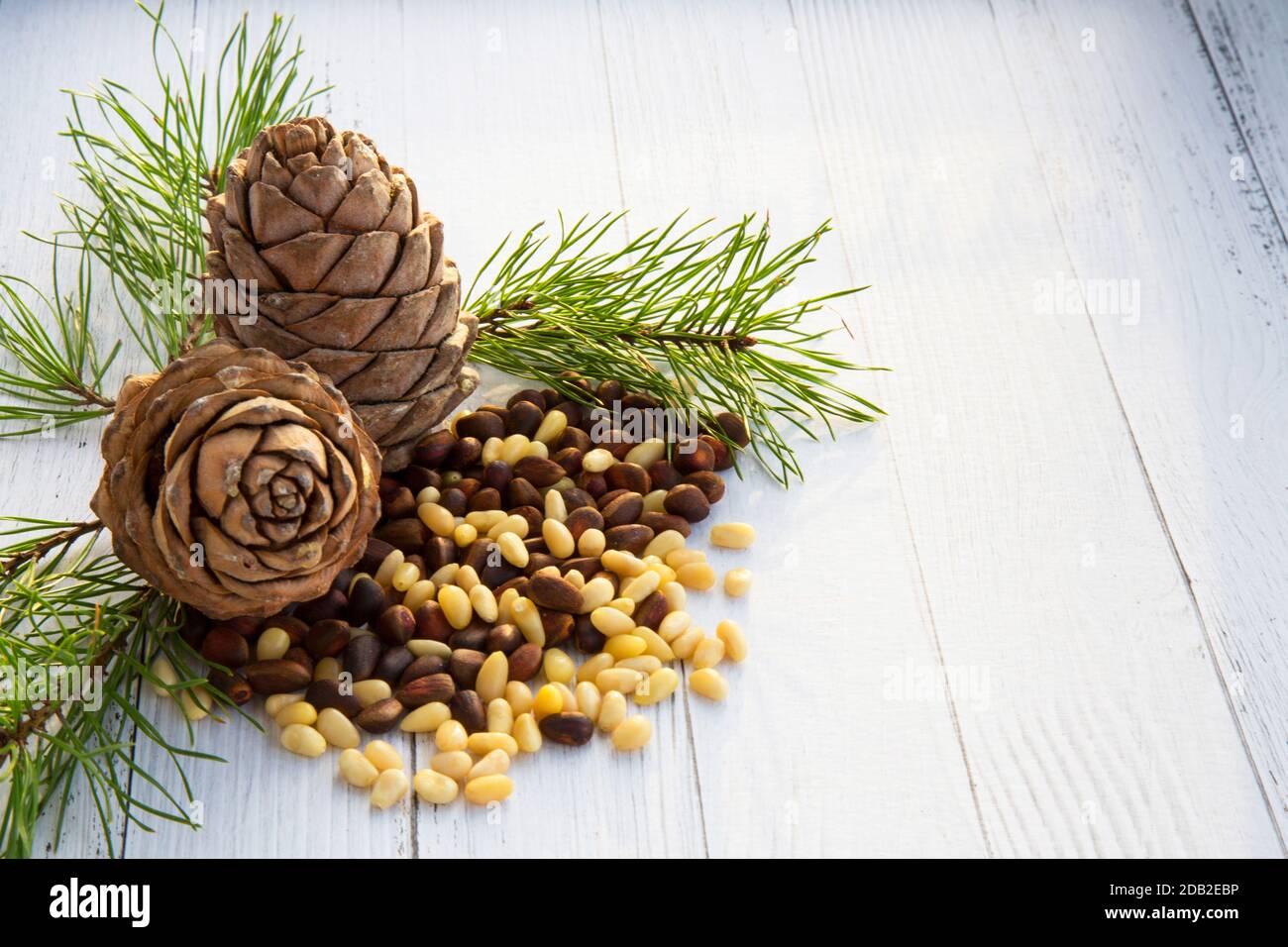 Peeled kernels of cedar nuts in a spoon, two pine cones, green branches ...