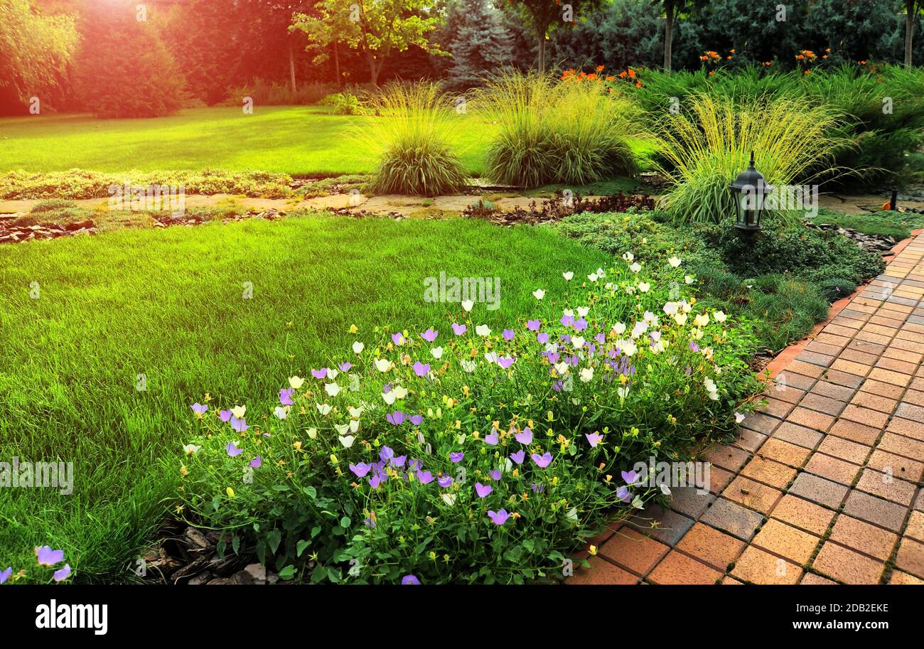 beautiful landscaping with beautiful plants Stock Photo - Alamy