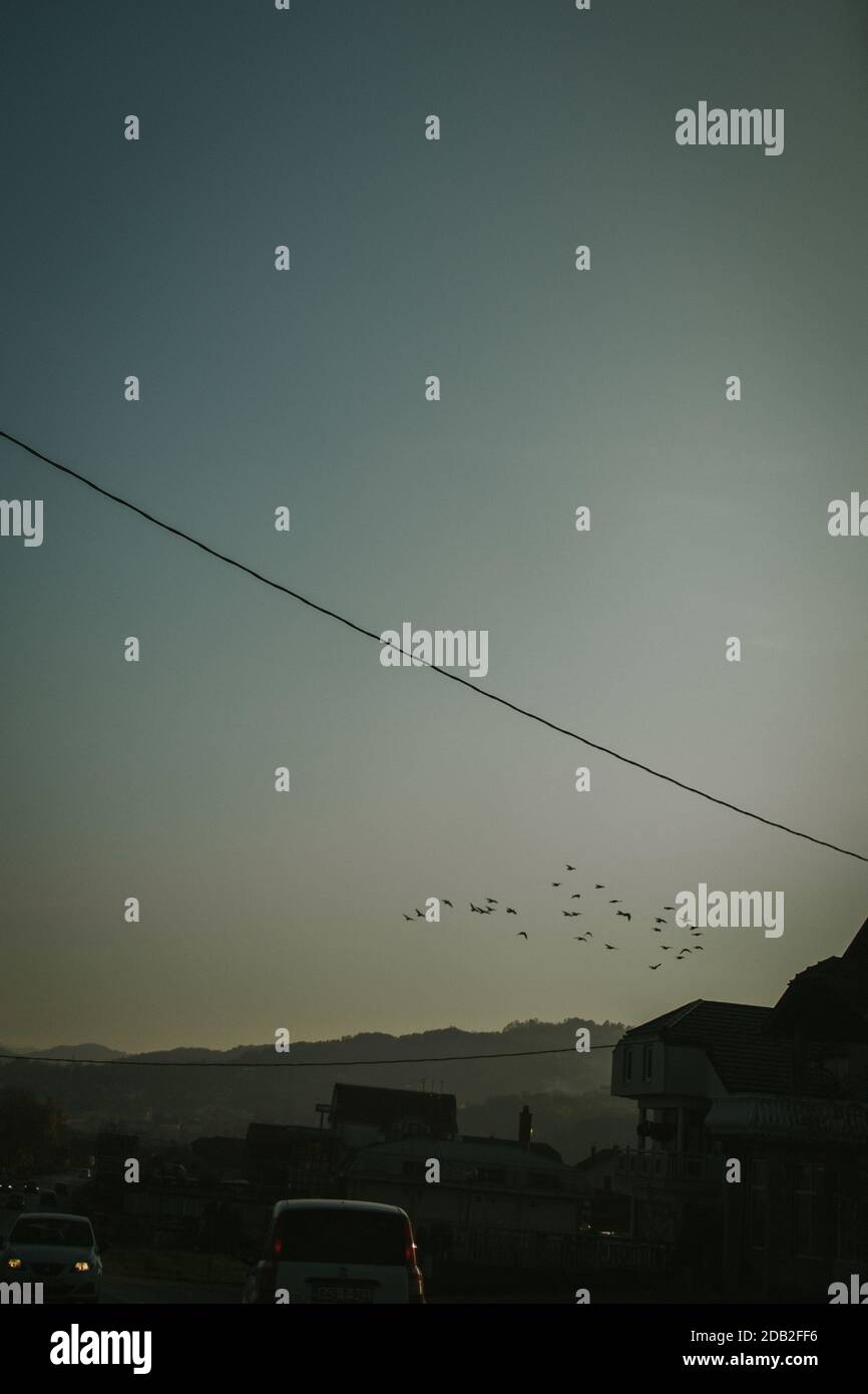 A vertical shot of birds flock flying in the sunset sky Stock Photo - Alamy