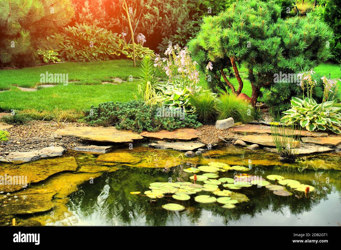 beautiful landscaping with beautiful plants Stock Photo - Alamy