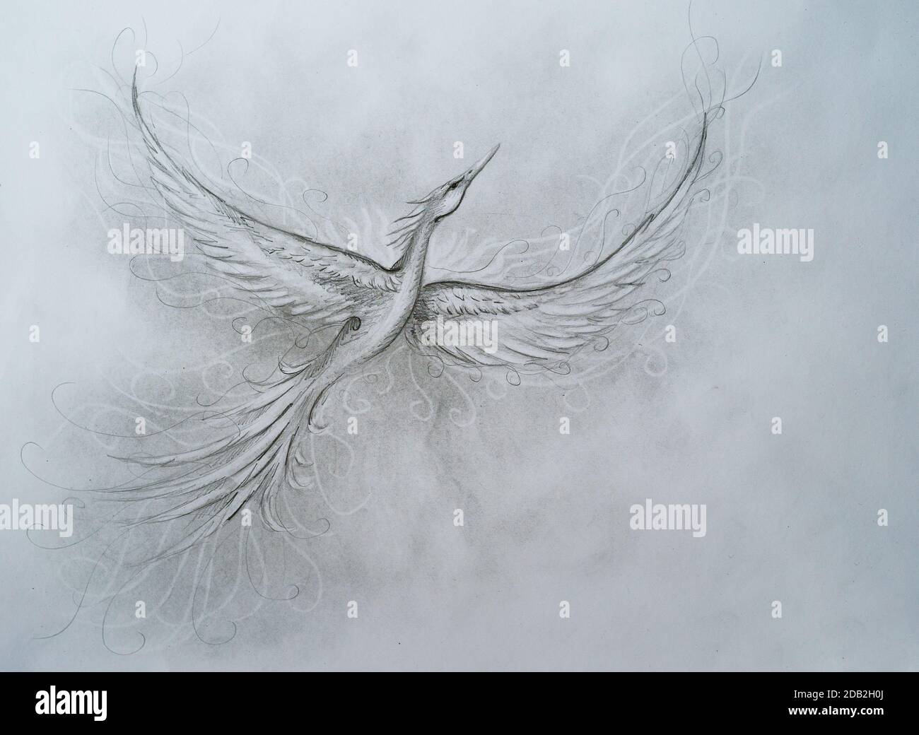 Flying phoenix bird as symbol of rebirth and new beginning Stock Photo ...