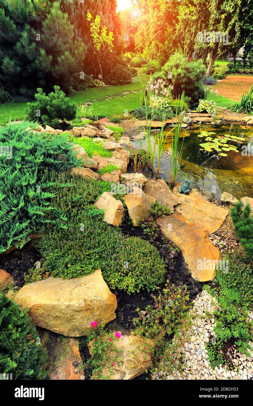 beautiful landscaping with beautiful plants Stock Photo - Alamy