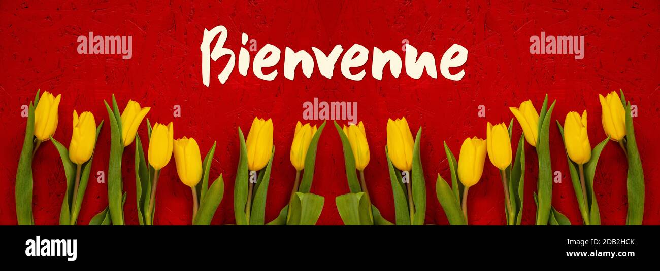 Red Wooden Background With French Text Bienvenue Means Welcome. Banner ...