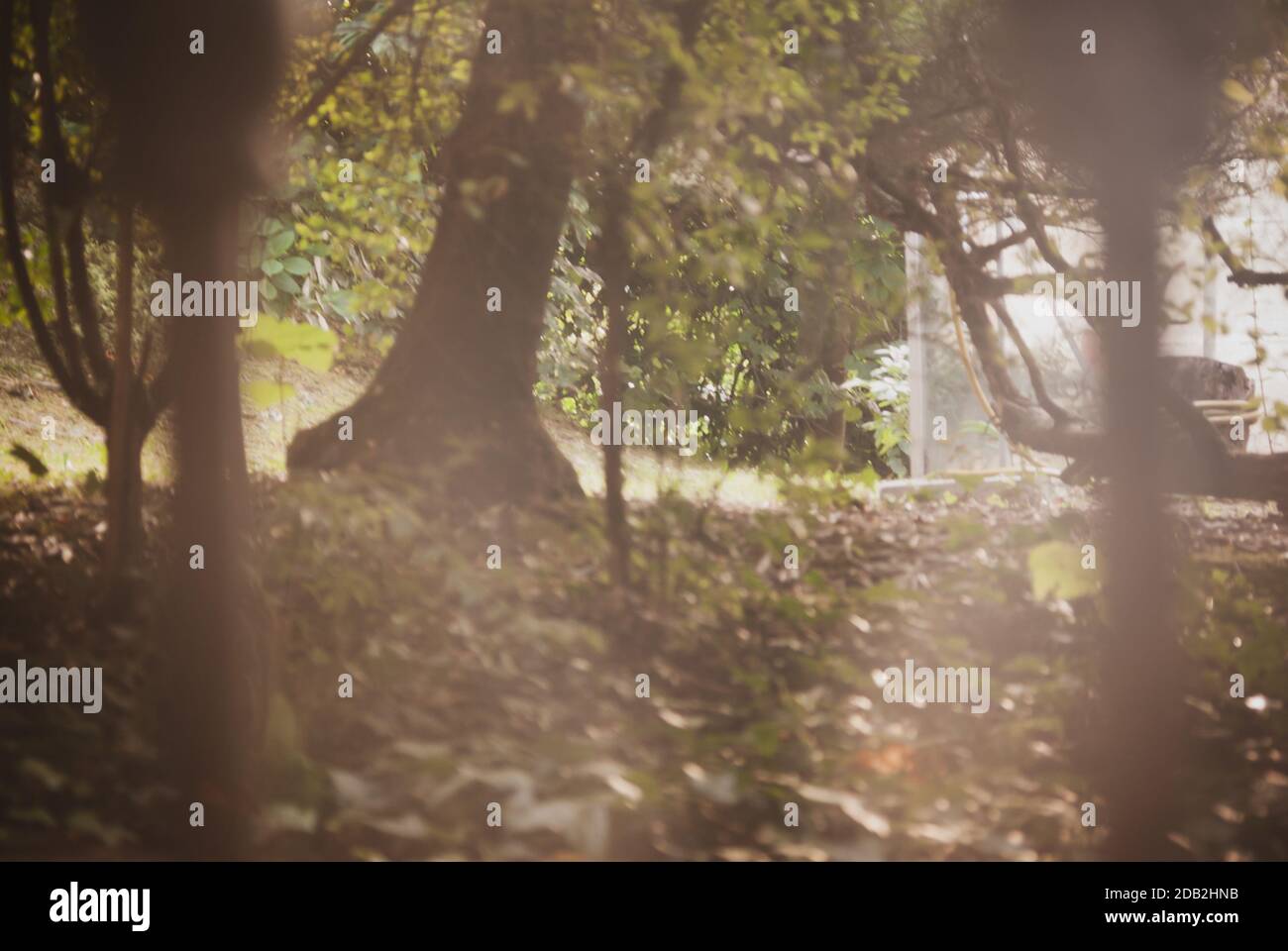 A sunny scenery of a park landscape with trees Stock Photo - Alamy