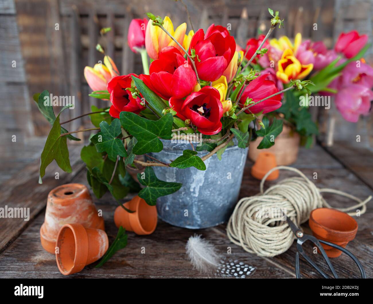 Colorful bunch of flowers with fresh tulips and ivy Stock Photo - Alamy
