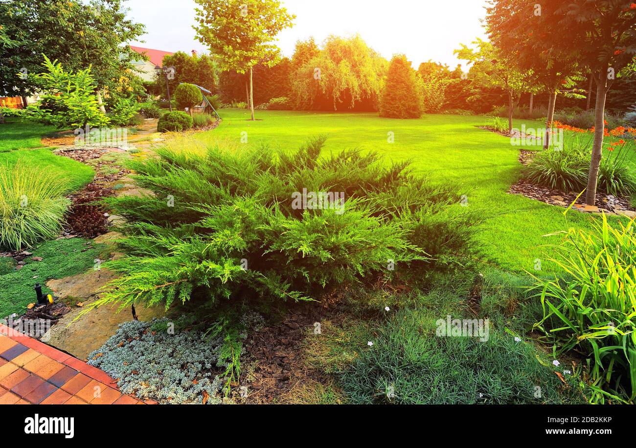 beautiful landscaping with beautiful plants Stock Photo - Alamy