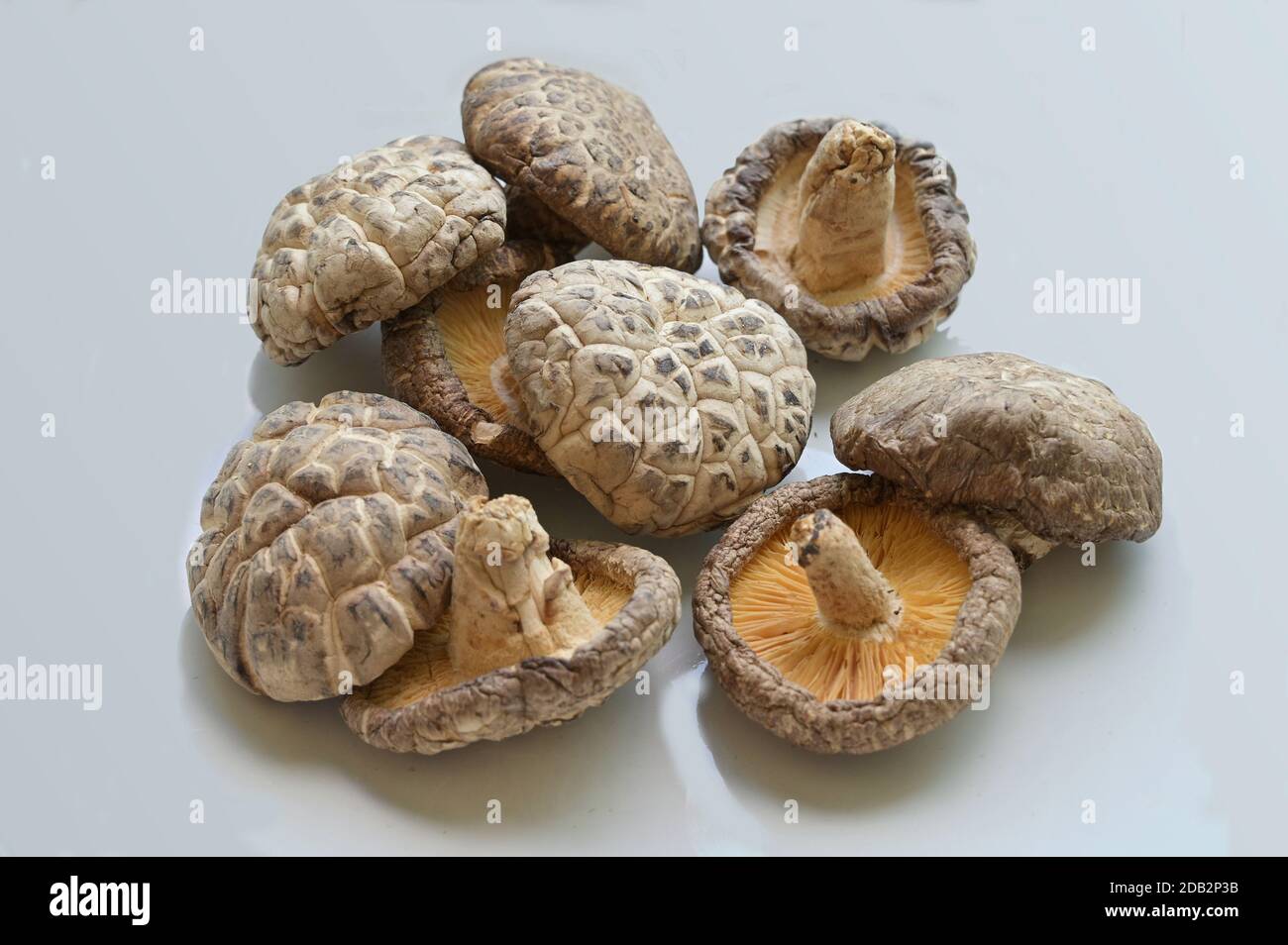 Dried shiitake mushrooms, to be soaked in warm water before cooking. It ...