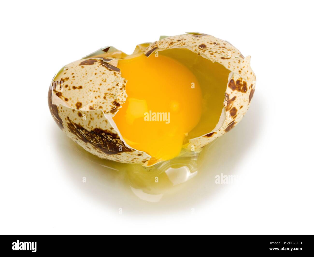 quail egg broken isolated on white background Stock Photo - Alamy