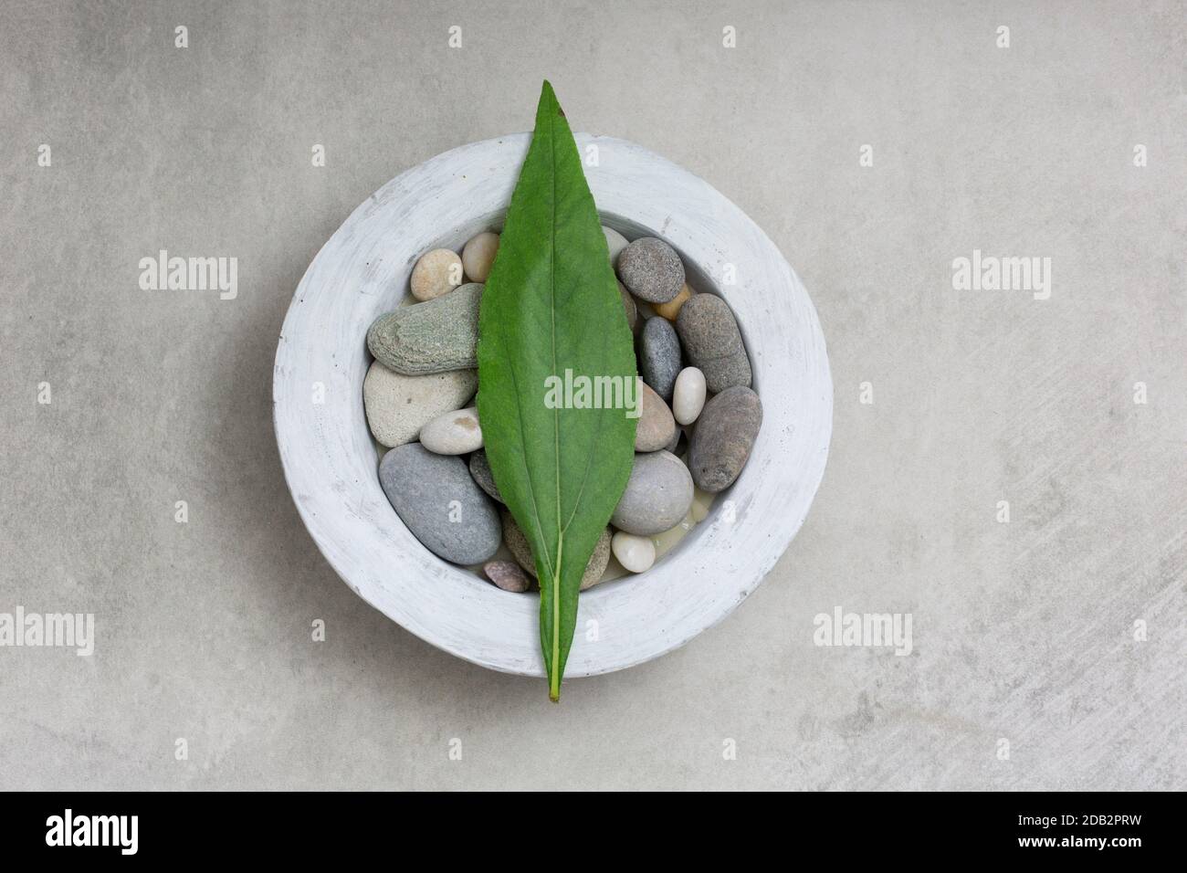 Single pebble smooth hi-res stock photography and images - Alamy