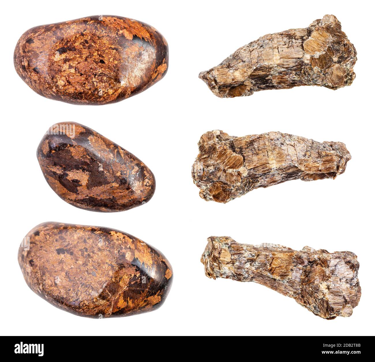 set of various Bronzite (Enstatite) rocks isolated on white background ...