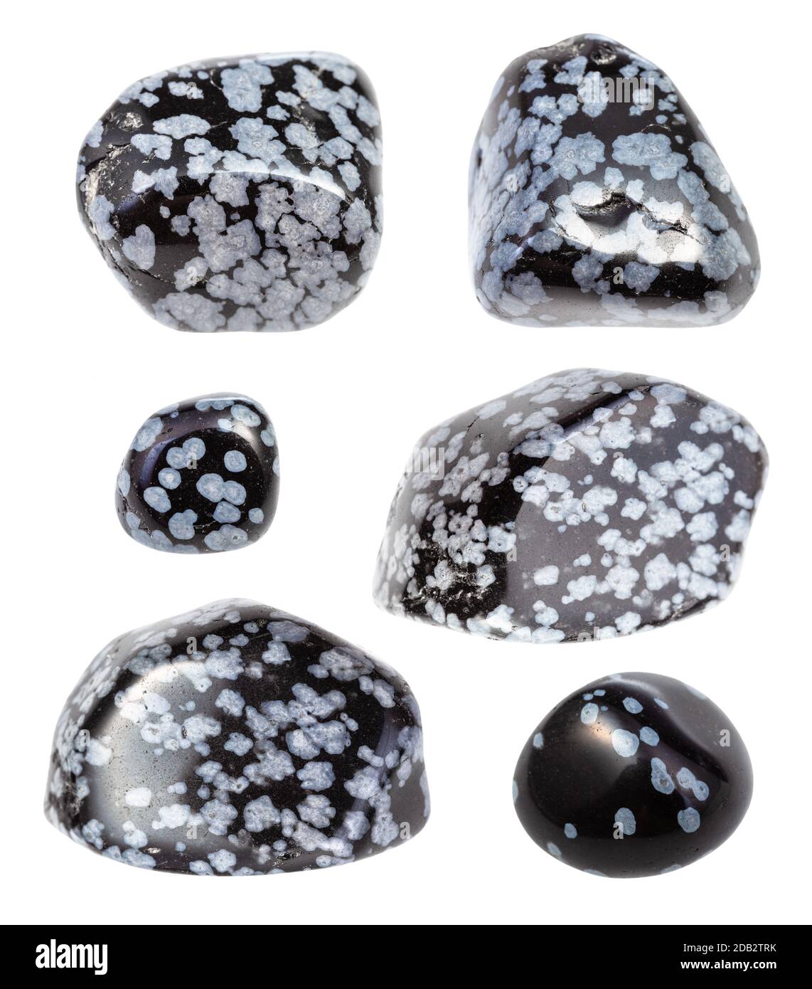 set of various Snowflake Obsidian gemstones isolated on white ...