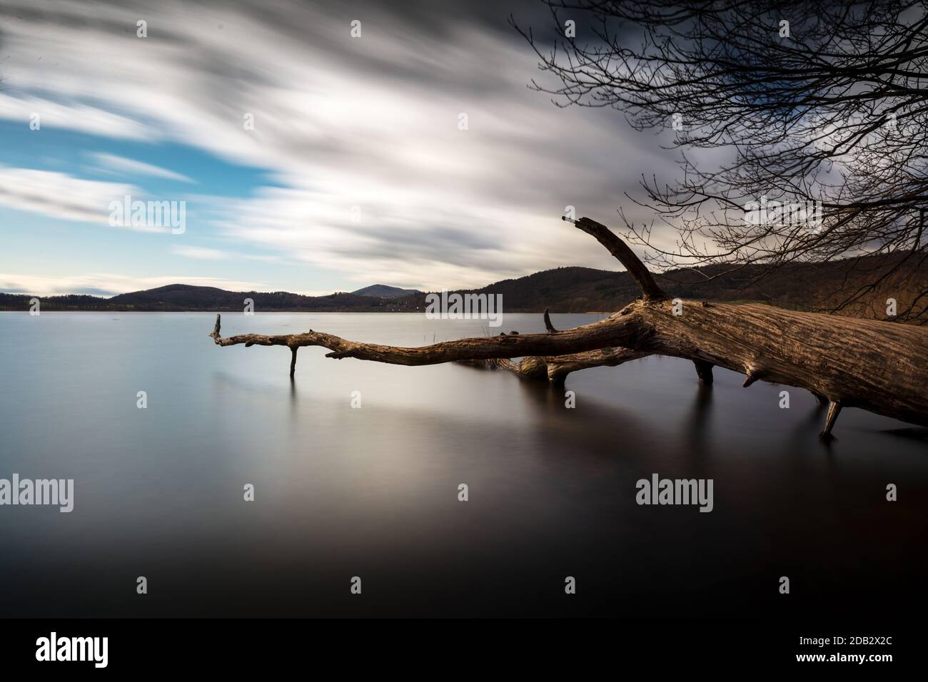 Sabine tribe hi-res stock photography and images - Alamy