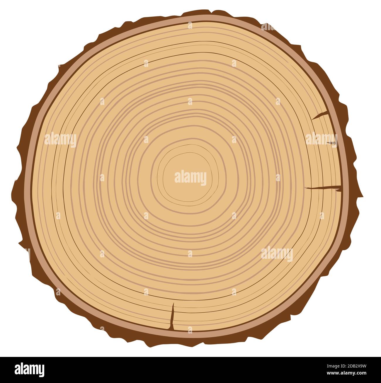 trunk round cut wooden texture nature lines illustration Stock Photo ...