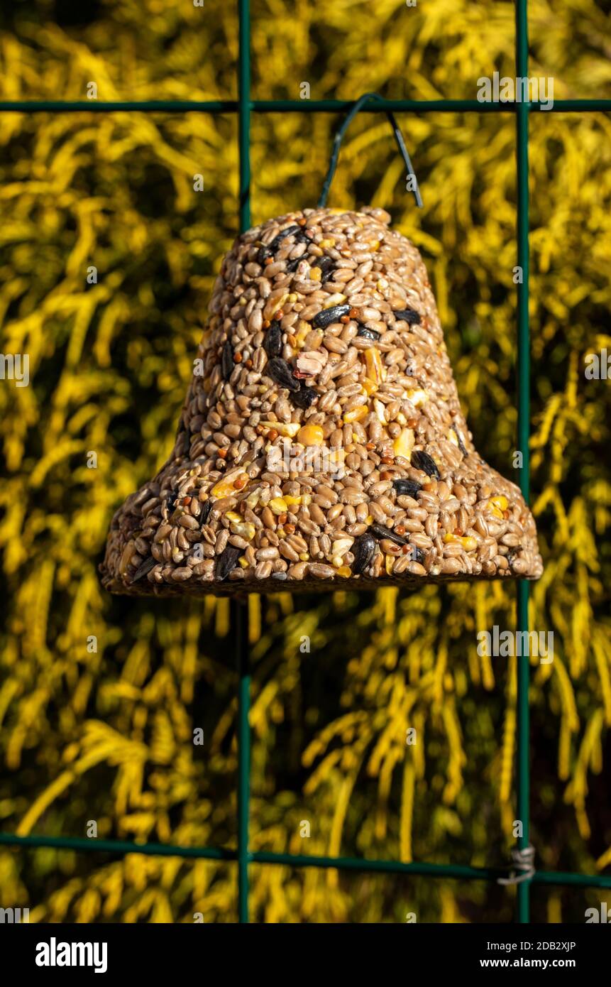 Bell from various grains, a delicacy for all the birds in the garden ...