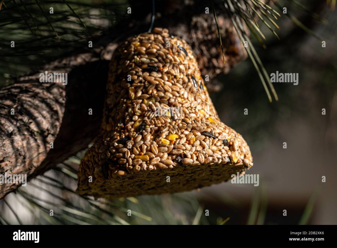 Bell from various grains, a delicacy for all the birds in the garden ...