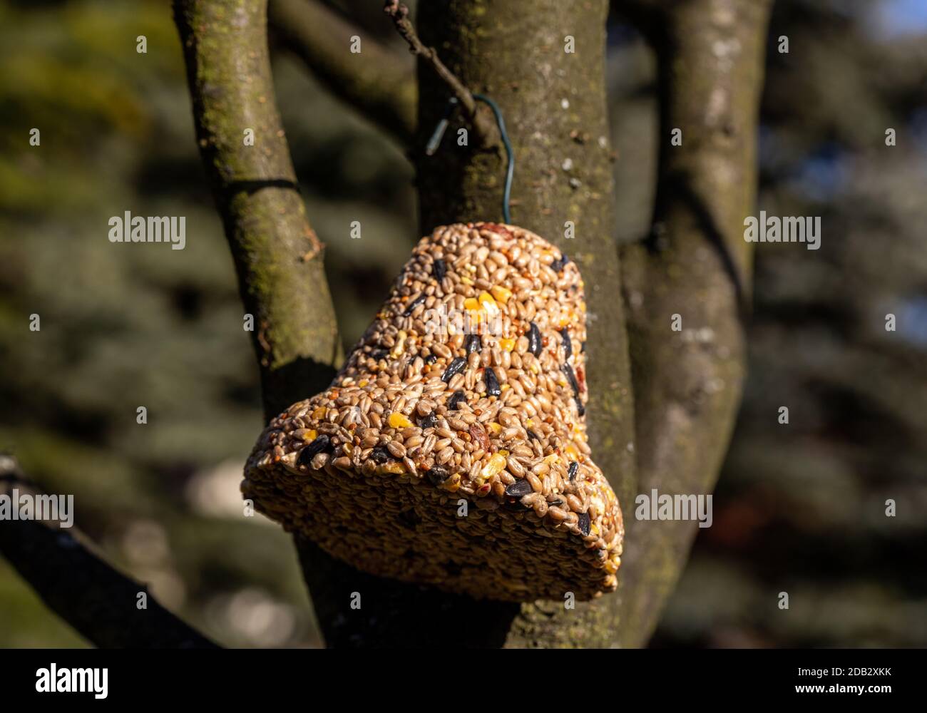 Bell from various grains, a delicacy for all the birds in the garden ...
